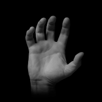 Hand GIFs - Get the best gif on GIFER