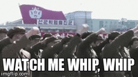 Whip GIFs - Get the best gif on GIFER