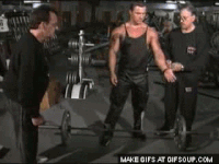 Bodybuilding GIFs - Get the best gif on GIFER