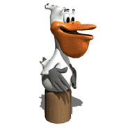 Pelican GIFs - Get the best gif on GIFER