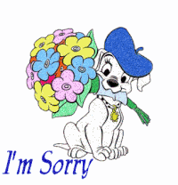 Sorry GIFs - Get the best gif on GIFER