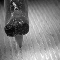 Microscope GIFs - Get the best gif on GIFER