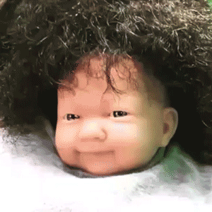 Hairhello GIFs - Get the best gif on GIFER