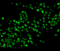 Pathogenicity GIFs - Get the best gif on GIFER