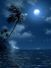 Natural GIFs - Get the best gif on GIFER