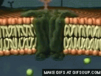 Active GIFs - Get the best gif on GIFER