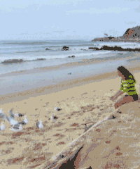 Recap GIFs - Get the best gif on GIFER