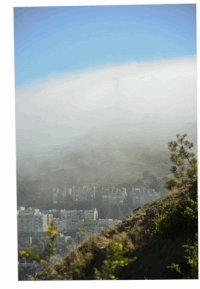 Fog GIFs - Get the best gif on GIFER