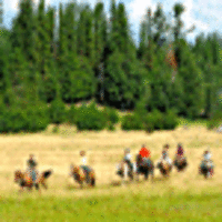 Ranches GIFs - Get the best gif on GIFER