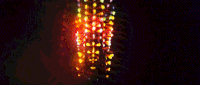 Dubai GIFs - Get the best gif on GIFER