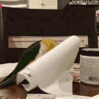 Obession GIFs - Get the best gif on GIFER