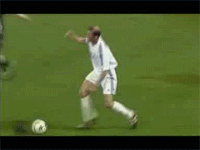 Zidane GIFs - Get the best gif on GIFER