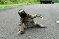 Hungover GIFs - Get the best gif on GIFER