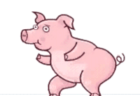 Schwein GIFs - Get the best gif on GIFER