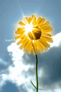 Sun GIFs - Get the best gif on GIFER