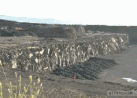 Mining GIFs - Get the best gif on GIFER