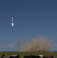 Spacex GIFs - Get the best gif on GIFER