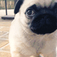 Sit down GIFs - Get the best gif on GIFER