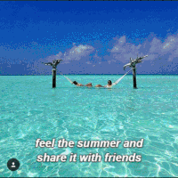 Vacation GIFs - Get the best gif on GIFER
