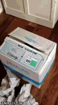 Package GIFs - Get the best gif on GIFER