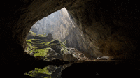Cave GIFs - Get the best gif on GIFER