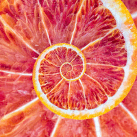 Fresh GIFs - Get the best gif on GIFER