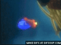 Enchilada GIFs - Obtenez le meilleur gif sur GIFER