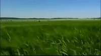 Deutschland GIFs - Get the best gif on GIFER