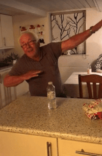 Demonstrate GIFs - Get the best gif on GIFER