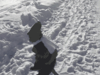 Snowsuit GIFs - Get the best gif on GIFER