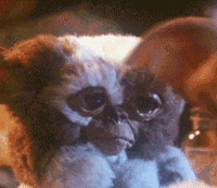 Gremlins GIFs - Get the best gif on GIFER