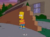 Yes GIFs - Get the best gif on GIFER