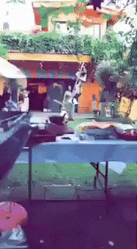 Pinata GIFs - Get the best gif on GIFER