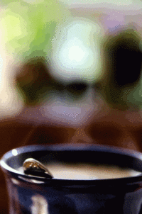 Coffe GIFs - Get the best gif on GIFER