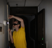 Visualize GIFs - Get the best gif on GIFER