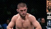 Khabib GIFs - Get the best gif on GIFER