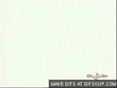 Flatlay GIFs - Get the best gif on GIFER