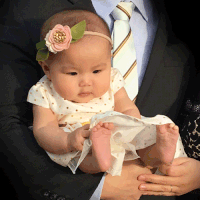 Dumpling GIFs - Get the best gif on GIFER