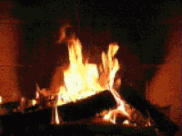 Blaze GIFs - Get the best gif on GIFER