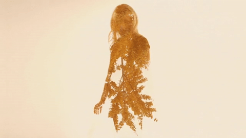 Kings fall GIFs - Obtenez le meilleur gif sur GIFER
