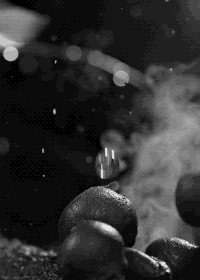 Fungus GIFs - Get the best gif on GIFER