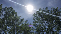 Sunny GIFs - Get the best gif on GIFER