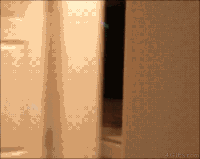 Floor GIFs - Get the best gif on GIFER