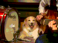 Drum GIFs - Get the best gif on GIFER