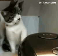 Cooker GIFs - Get the best gif on GIFER
