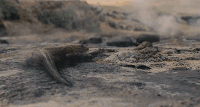 Evolution GIFs - Get the best gif on GIFER