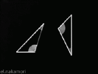 Congruent GIFs - Get the best gif on GIFER