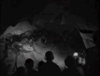 Them GIFs - Get the best gif on GIFER