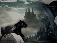 Pantera GIFs - Get the best gif on GIFER