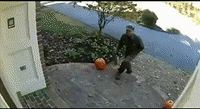 Delivery GIFs - Get the best gif on GIFER
